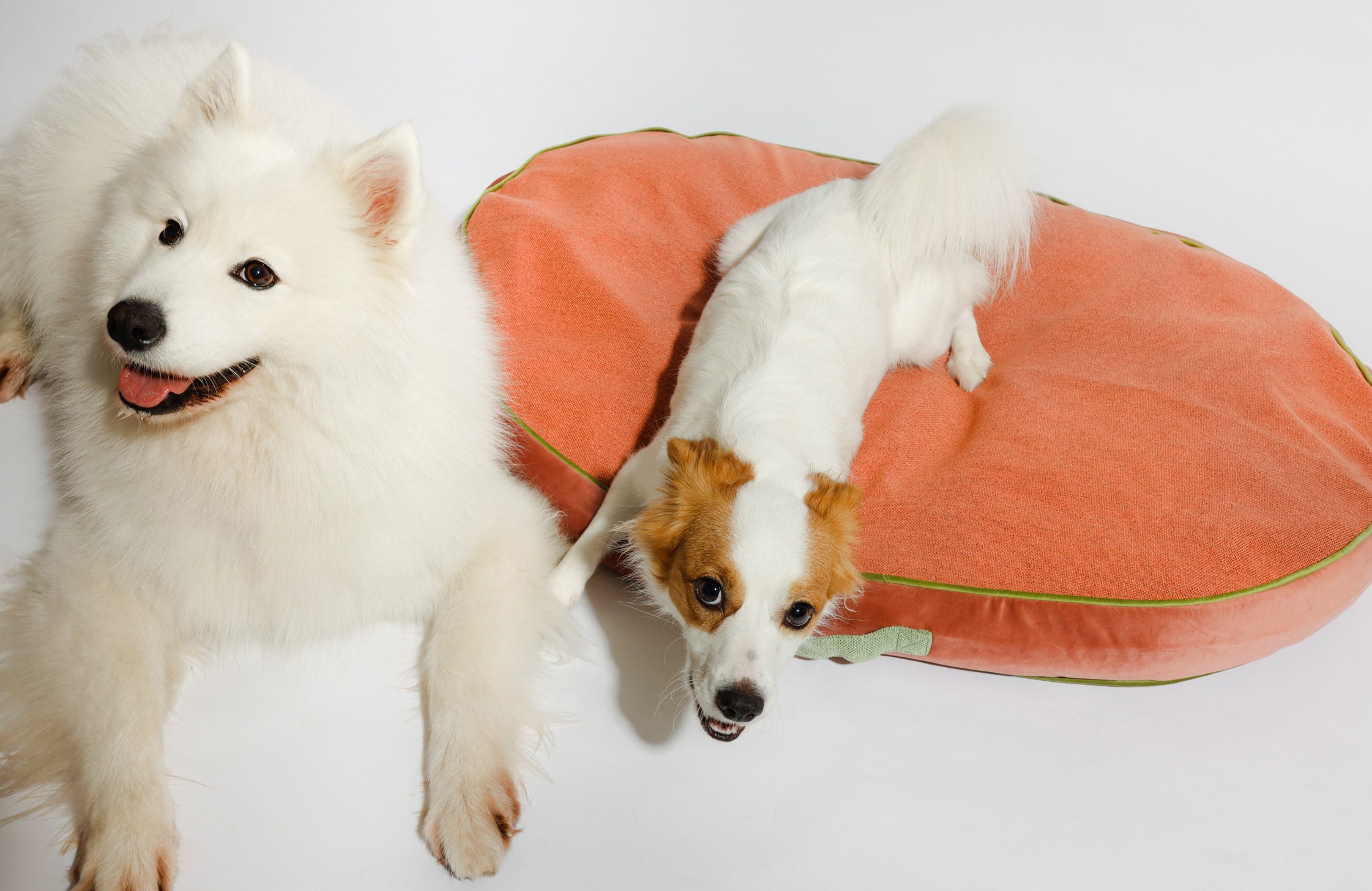 Velvet Duo Duo Bed – Beasty